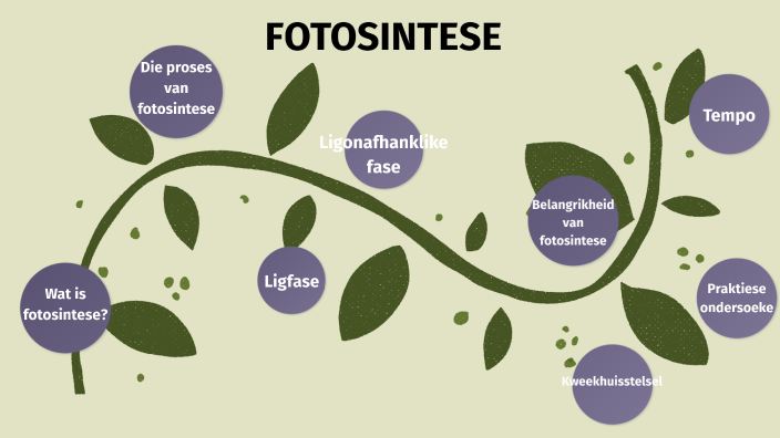 Fotosintese (8 April 2021) by Nina Reynolds on Prezi
