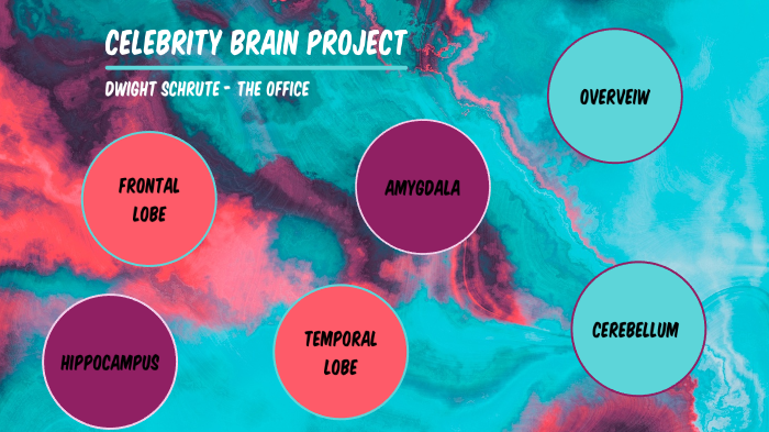 Celebrity Brain Project - Dwight Schrute by emilee orr on Prezi