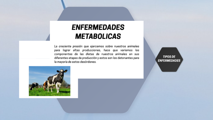 ENFERMEDADES METABOLICAS by Brenda Mendez Carbonell on Prezi