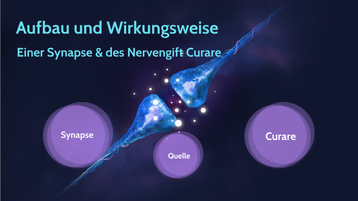 Aufbau und Wirkungsweise einer Synapse & des Nervengiftes Curare by ...