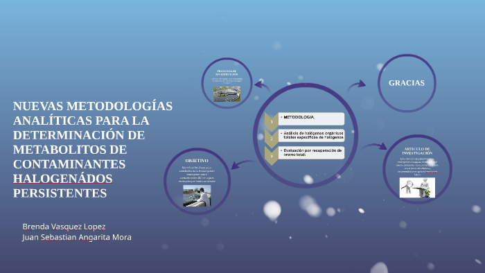 NUEVAS METODOLOGIAS ANALITICAS PARA LA DETERMINACION DE META by angela ...