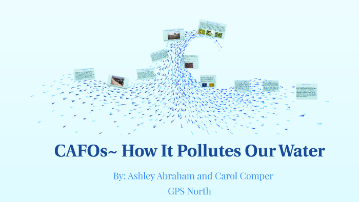 Concentrated Animal Feeding Operation(CAFO) by Ashley Abraham on Prezi Next
