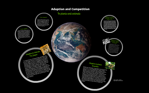 Adaptation and Competition by Bethany Hitchen - Grant on Prezi