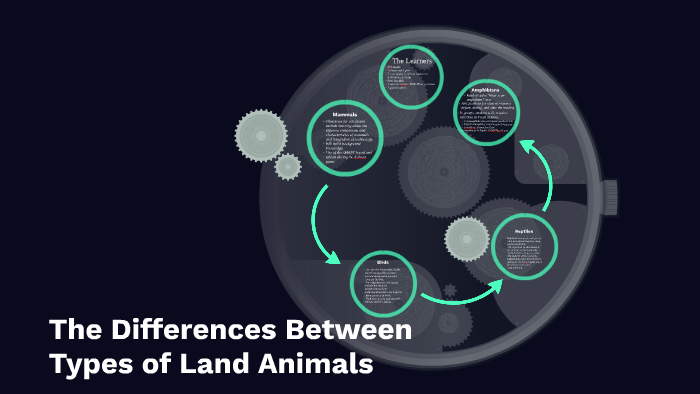 The Difference Between Types of Land Animals by Courtney Lonigro
