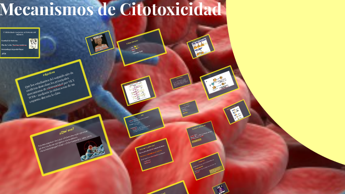 Mecanismos de Citotoxicidad by Flor Martínez on Prezi