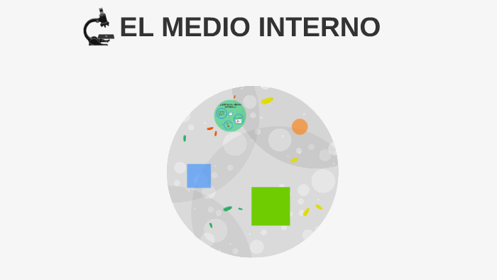 EL MEDIO INTERNO by Ana Quirós Fernández on Prezi
