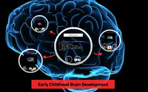 Early Childhood Brain Development by Bethany Coop on Prezi