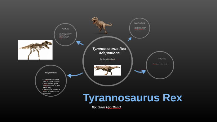Trex Adaptations by Samuel Hjortland on Prezi