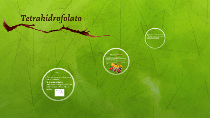 Tetrahidrofolato by Ivonne Pazquel on Prezi