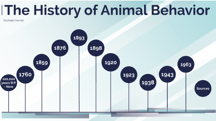 The History of Animal Behavior by Rachael Herriot on Prezi