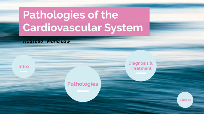 Pathologies of the Cardiovascular System by Maria Law on Prezi