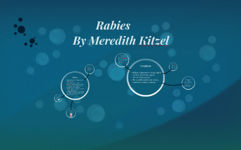 Rabies by Meredith Kitzel on Prezi