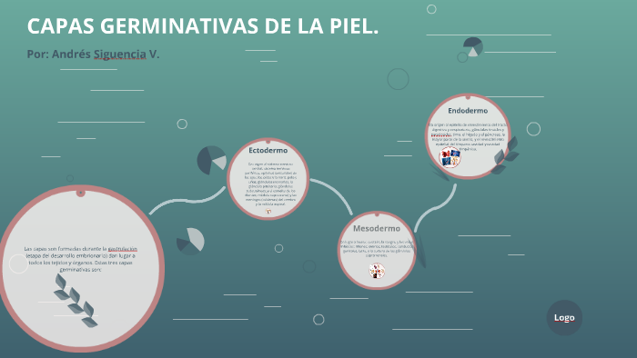CAPAS GERMINATIVAS DE LA PIEL. by Andres Siguencia Vargas on Prezi