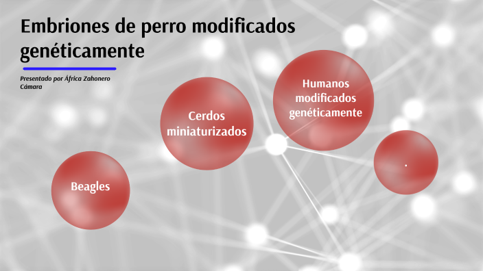 Embriones de perro modificados genéticamente by África Zahonero Cámara ...