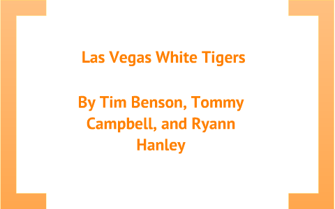 Las Vegas White Tigers by Timothy Benson on Prezi