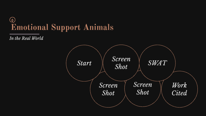 Emotional Support Animal Recast by Erin Meikle on Prezi