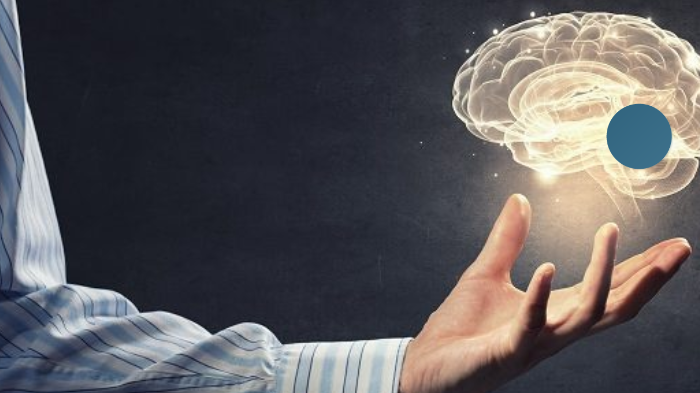 EL MODELO BENZIGER APLICADO AL PROCESO DE ANÁLISIS Y DESCRIPCIÓN DE ...