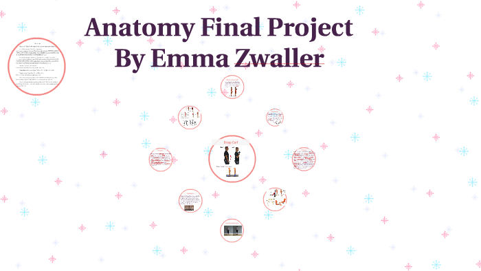 Anatomy Final Project by Emma Zwaller on Prezi