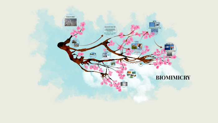 BIOMIMICRY by Ness Cohen on Prezi