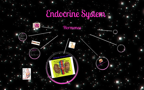 Biology 30 Hormones By Pauleen Gonzales On Prezi