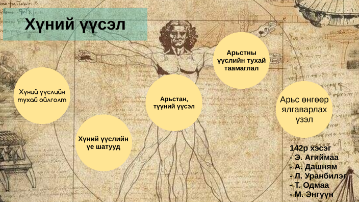 hunii uusel by Agiimaa Erdenebileg on Prezi