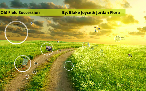 Old Field Succession By: Blake Joyce & by Blake Joyce on Prezi