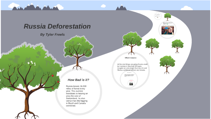 Russian Deforestation by Tyler Freels on Prezi