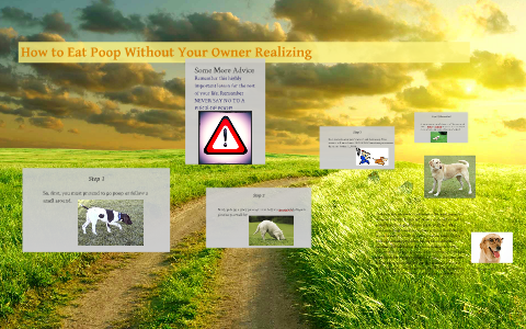 How to Eat Poop Without Your Owner Realizing by Christine Little on Prezi