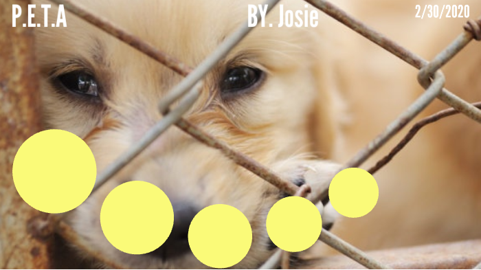 P.E.T.A by Josie Kent on Prezi