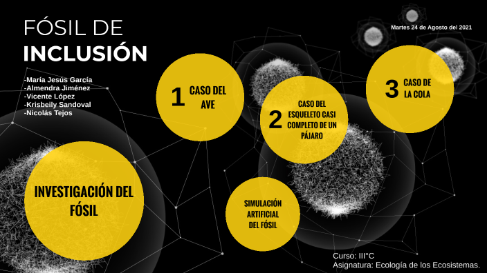 Exposición de tipos de fósiles (Inclusión) by Kris Sandoval on Prezi