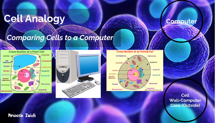 Cell Analogy Comparing cells to a Computer by anoosh zaidi on Prezi