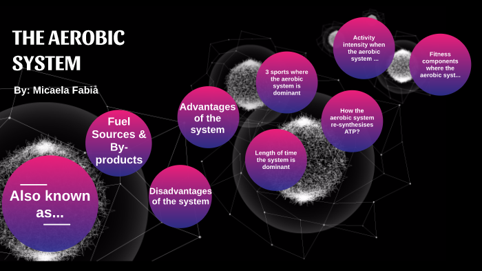The Aerobic System by Micaela Fabia on Prezi