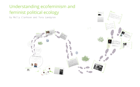 Environmental Justice (II): Feminist Political Ecology by Tora Landgren ...