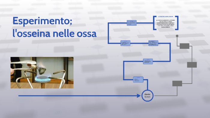 Esperimento; l'osseina nelle ossa by Sissi Principessa on Prezi