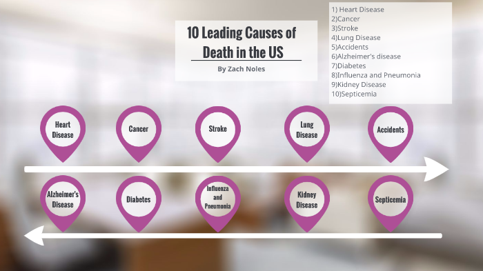 10 Leading Causes of Death in the US by Zach Noles on Prezi