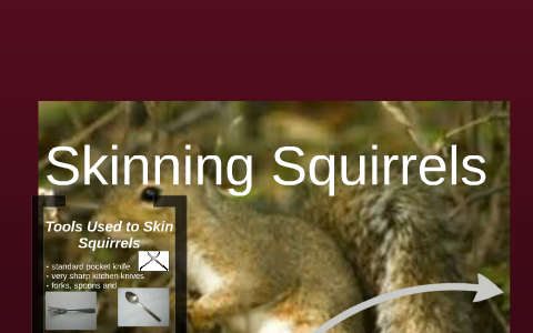 How to Skin a Squirrel by Dylan Michel on Prezi