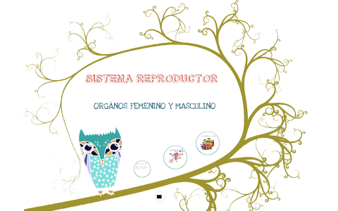 Sistema reproductor by LEIDA CARRILLO QUESADA on Prezi