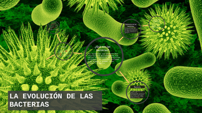 LA EVOLUCIÓN DE LAS BACTERIAS by María Alvarado Benchikh on Prezi