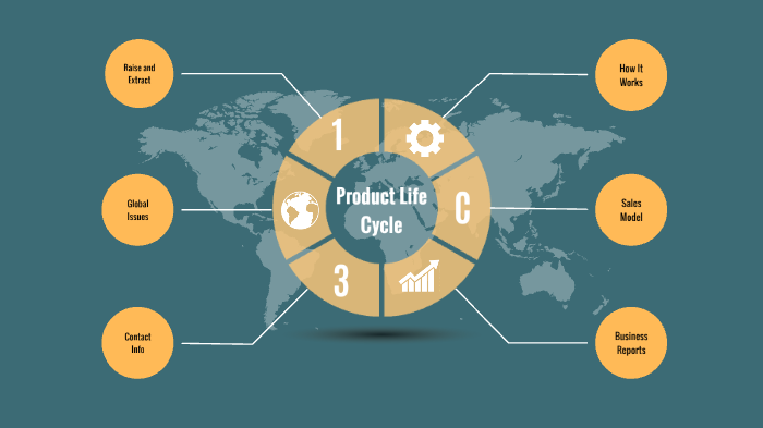Life Cycle of a Cardboard Box by Victoria Du on Prezi