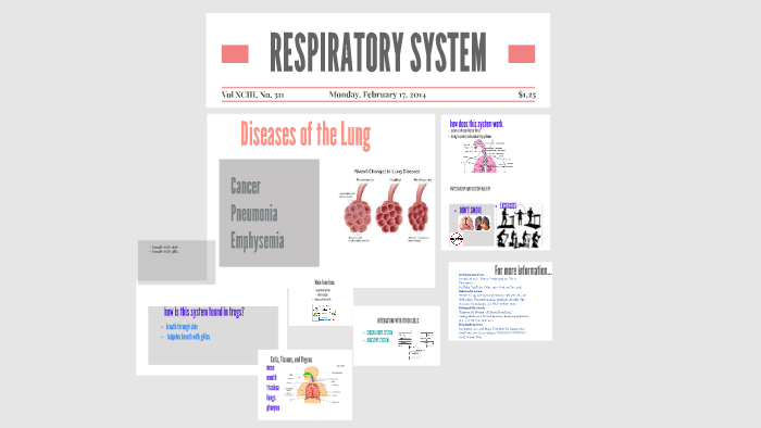 RESPIRATORY SYSTEM by Jayden Malcolm on Prezi