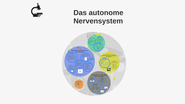 Das autonome Nervensytem by Isabelle Ewe on Prezi