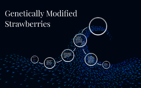 Genetically Modified Strawberries by jessica bermudez on Prezi