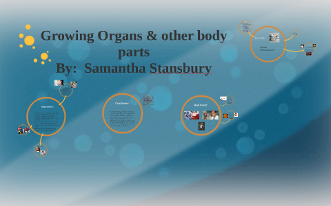 Growing organs and other body parts by Samantha Stansbury on Prezi
