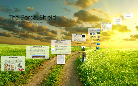 The Boreal Shield by kandeel kandeel on Prezi