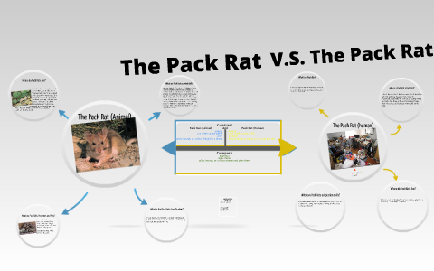 The Pack Rat V.S. The Pack Rat by Andy Teh on Prezi
