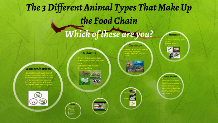 The 3 Major types of animals in the world by Kara Henrichs on Prezi