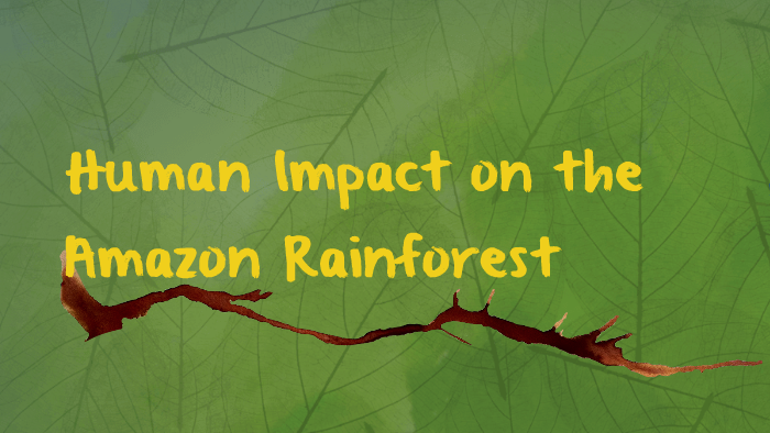 Human Impact on the Amazon Rainforest by Shannon Mitchell on Prezi