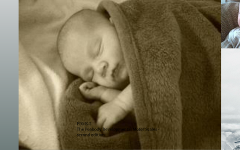 PDMS-2 by Beau Walton on Prezi