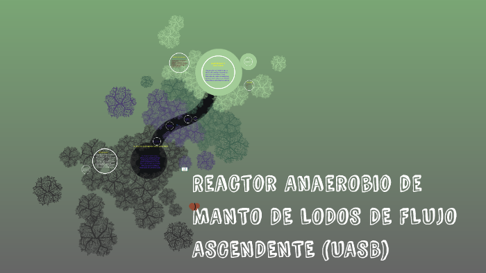 Reactor Anaeróbio de Flujo Ascendente (UASB) by Deisy Carolina Galvan ...