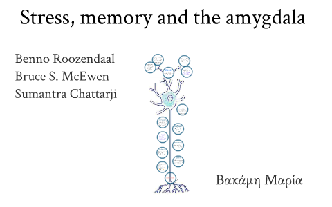 Παρουσίαση Νευροβιολογίας by Euridiki Vakami on Prezi